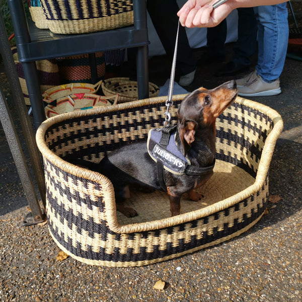 Dog Baskets – Rufina Designs
